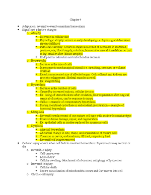 Study Guide Patho Quiz 1.docx (1) - STUDY GUIDE FOR QUIZ #1 Advanced ...