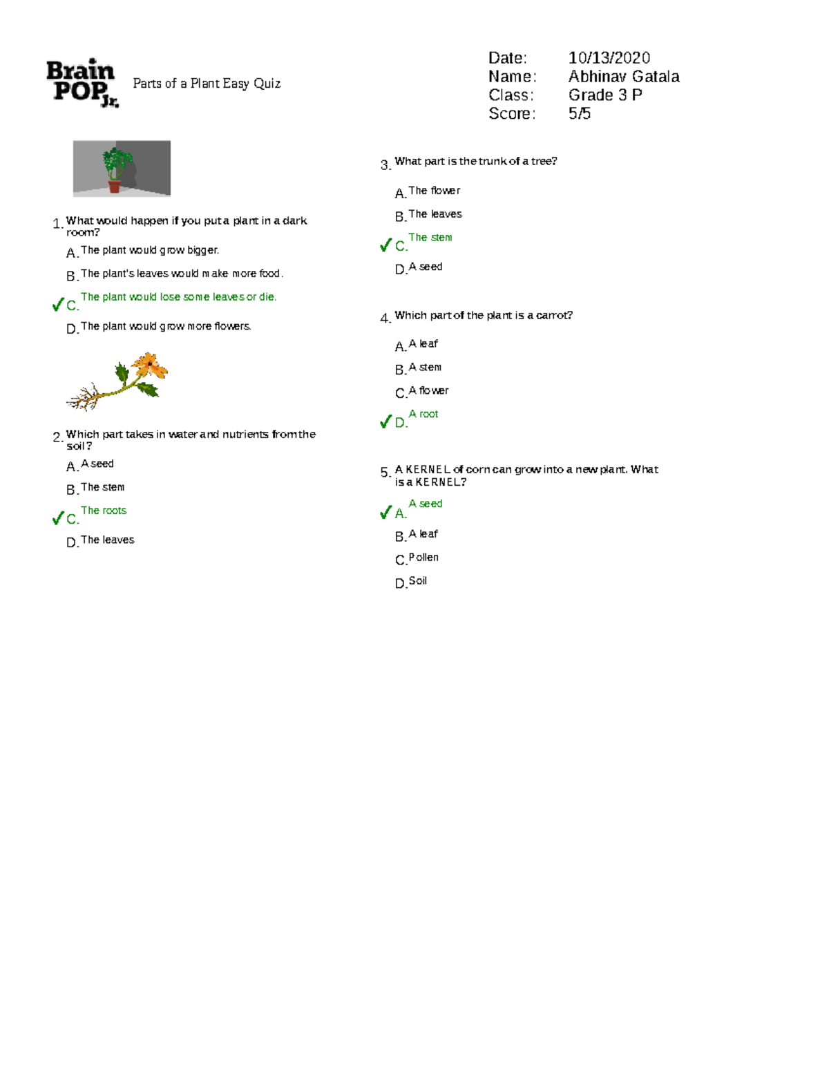 Parts of a Plant Easy Quiz - Brain POP Jr - Parts of a Plant Easy Quiz ...