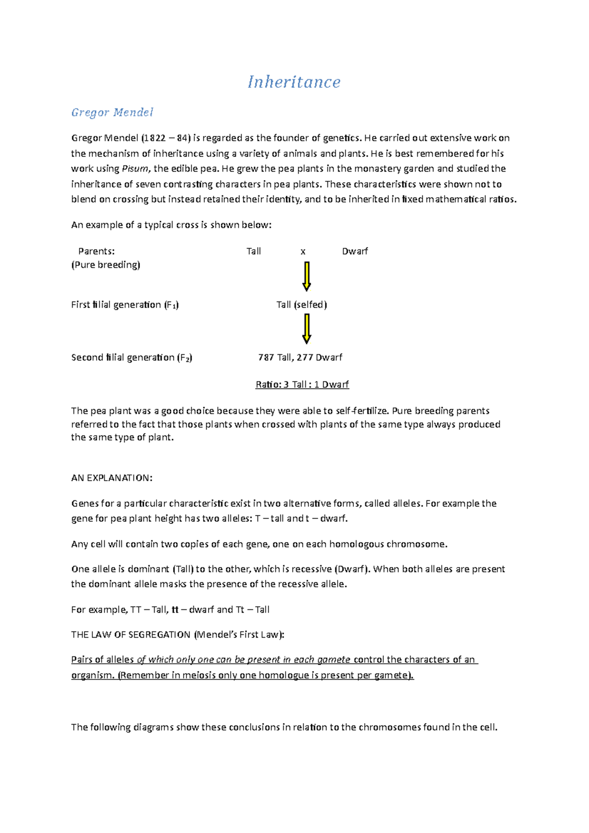 Mendelian Genetics and Inheritance - Inheritance Gregor Mendel Gregor ...