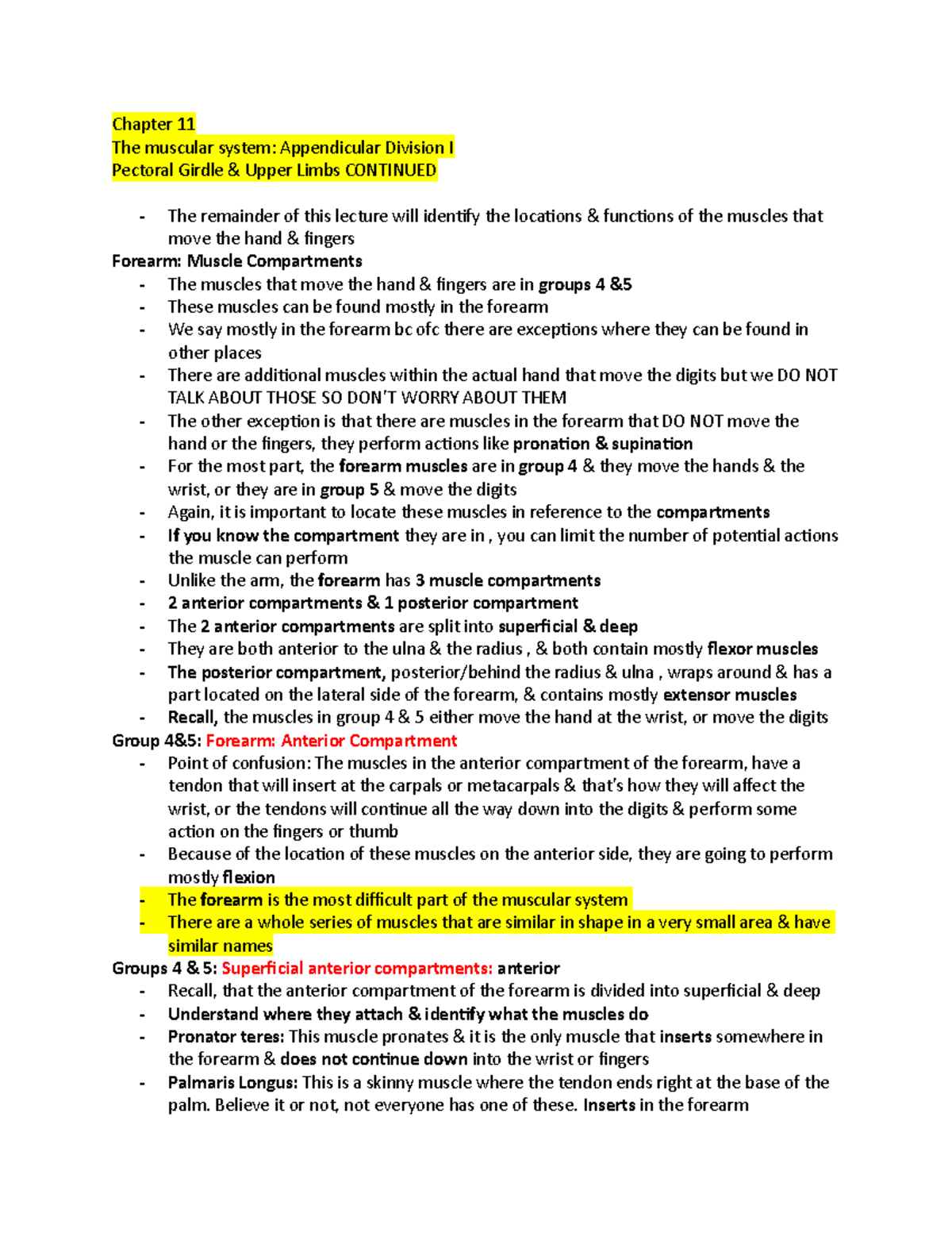 Chapter 11- groups 4&5 - Dr Brinn - Chapter 11 The muscular system ...