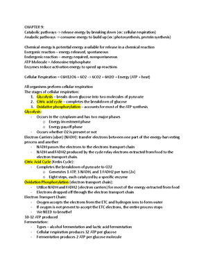 Ch 7 notes - Ch. 7 Plasma Membrane Structure: - Components – lipids ...