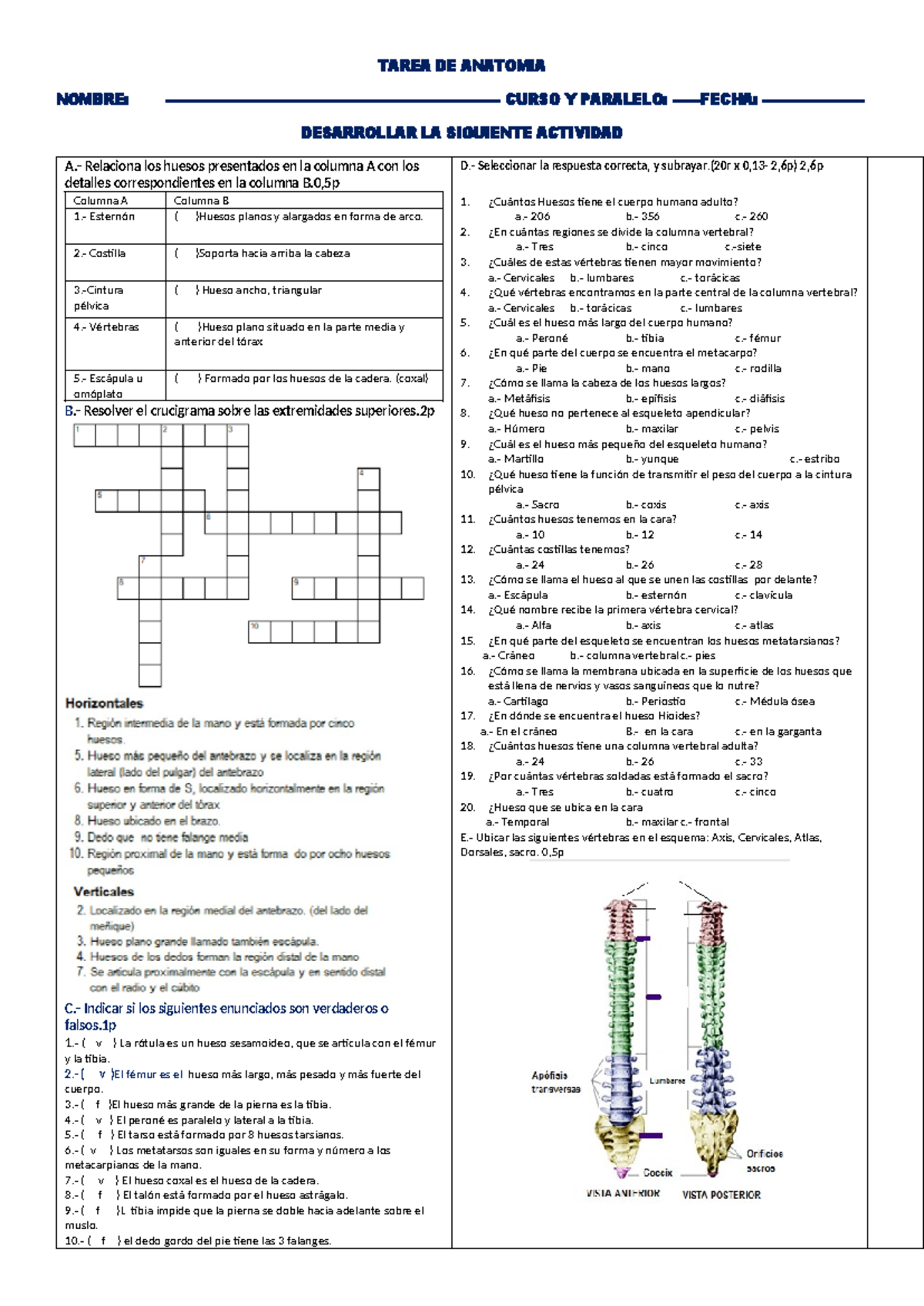 Taller DEL Tronco Y Extremidades - TAREA DE ANATOMIA NOMBRE: - CURSO Y ...