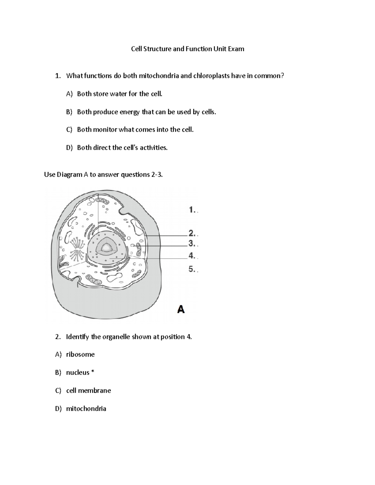 Cell Structure and Function Unit Exam - B) Both produce energy that can ...