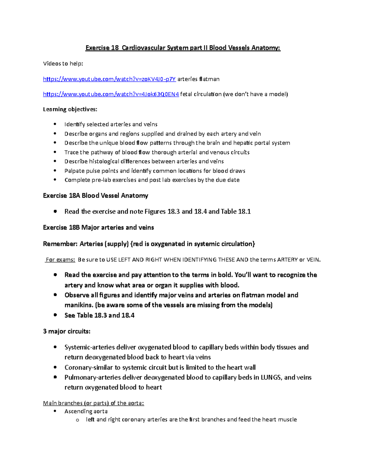 Exercise 18 Cardiovascular System Part II Blood Vessel Anatomy 2022 - Exercise 18 Cardiovascular ...