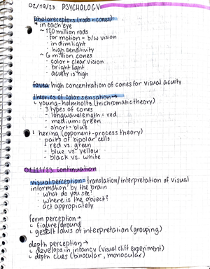 Psychology 100 Lab Experiment on Lexical Decisions - Sydney Kleis ...