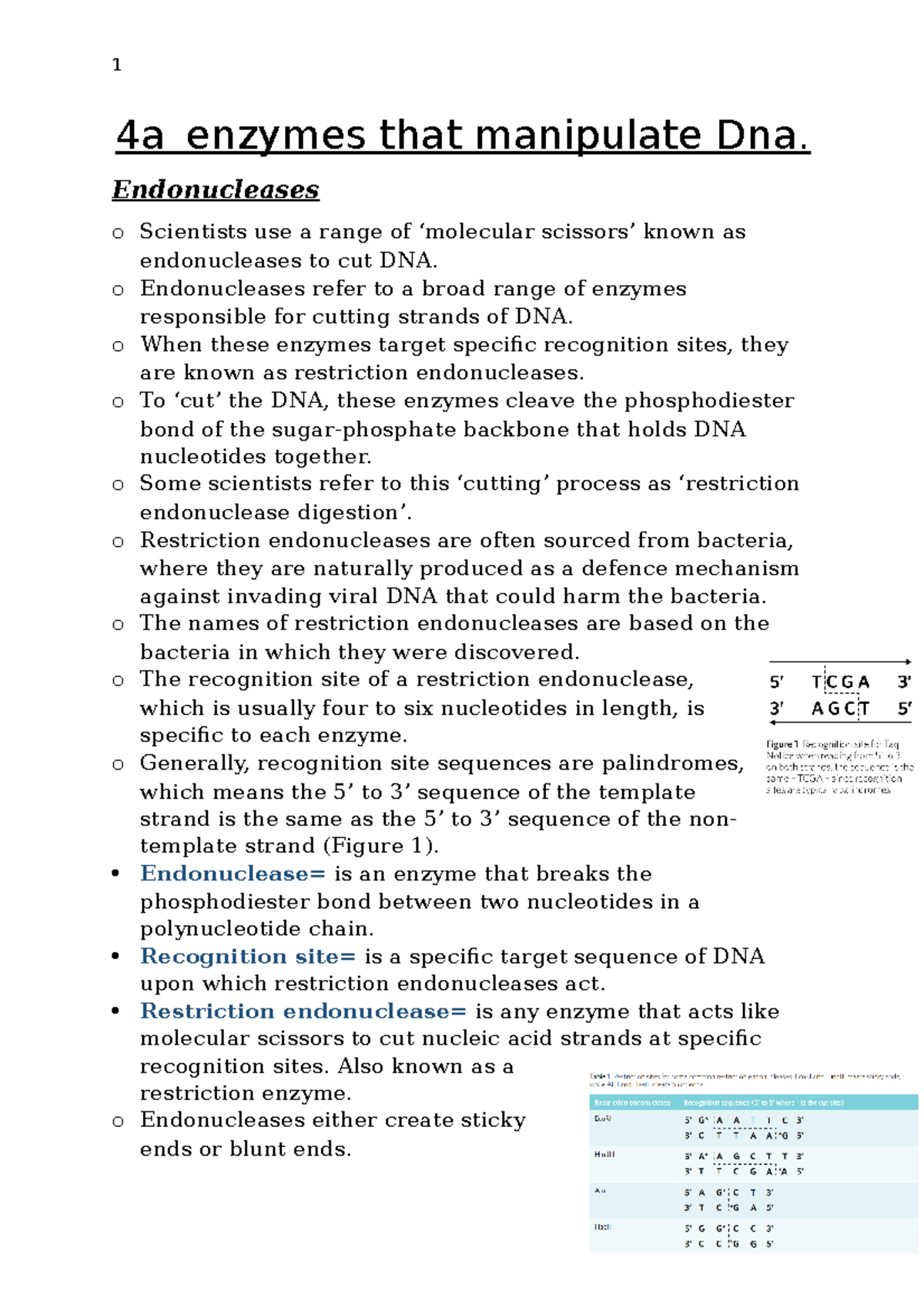 Chapter 4 new notes for unit 3 biology vce - 4a enzymes that manipulate ...