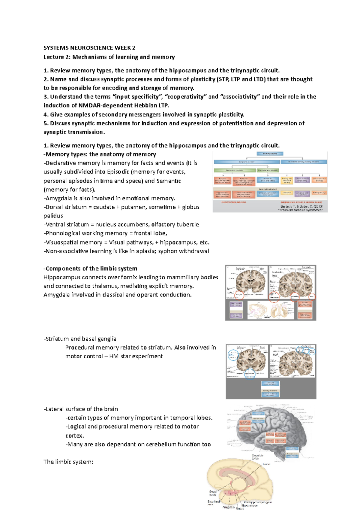 Mechanisms of learning and memory - Review memory types, the anatomy of ...