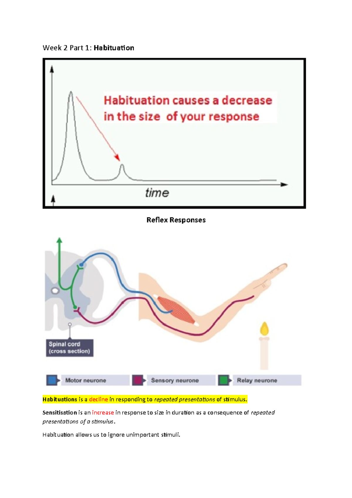 Week 2 Part 1 - lecture notes - Week 2 Part 1: Habitua琀椀on Re昀氀ex ...