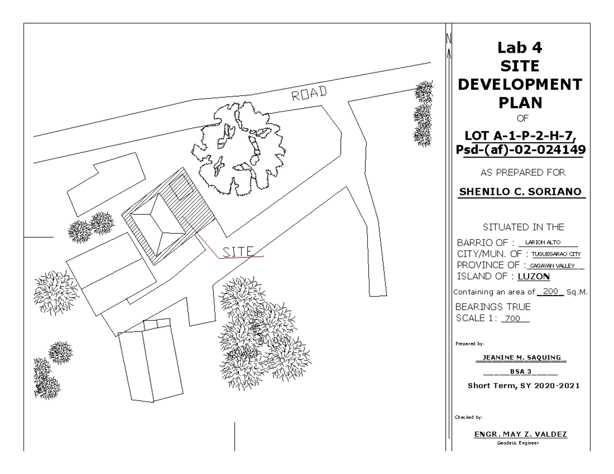 SITE Development PLAN - Surveying Site Dev Plan - SITELab 4 DEVELOPMENT ...