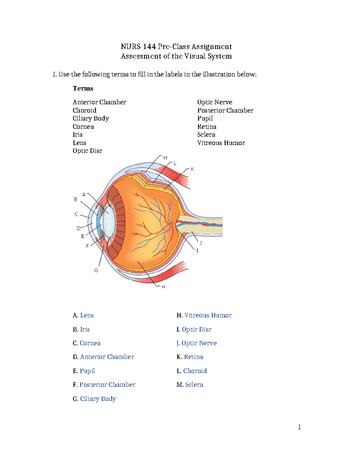 Assessment of the Visual System-F23 - NURS 144 Pre-Class Assignment ...