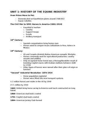 UNIT 6 Project Equine NEW Developments - UNIT 6 PROJECT NEW ...