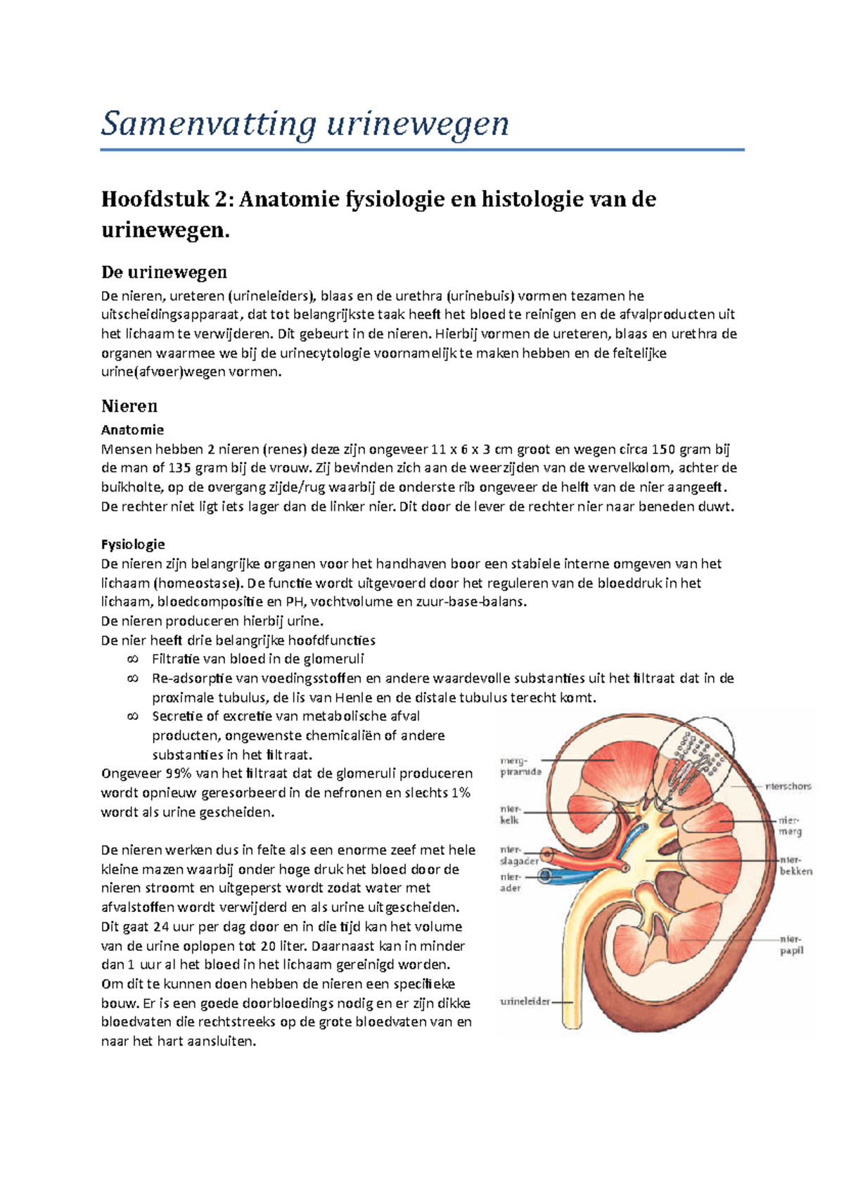 Samenvatting urinewegen - Samenvatting urinewegen Hoofdstuk 2: Anatomie ...