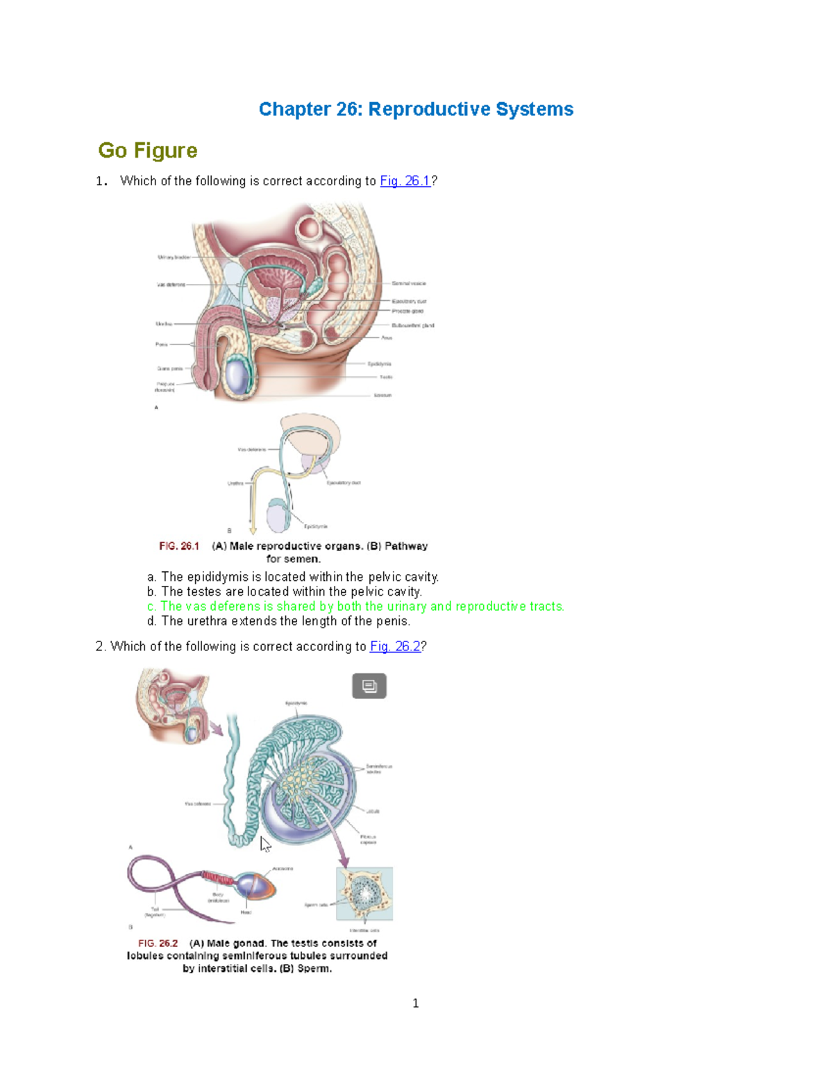 AHP106 Wk6 Assignment - work - Chapter 26: Reproductive Systems Go ...