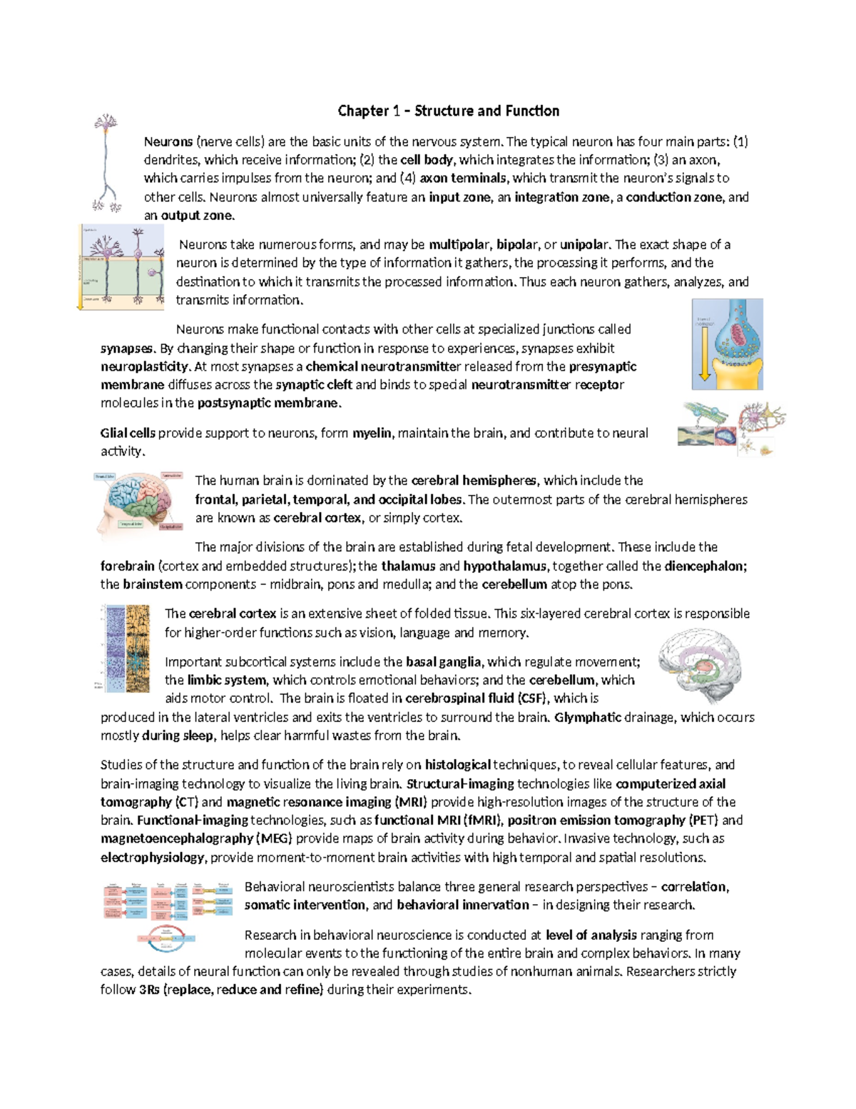 Class 1 - Structure and Function - Chapter 1 – Structure and Function Neurons (nerve cells) are ...