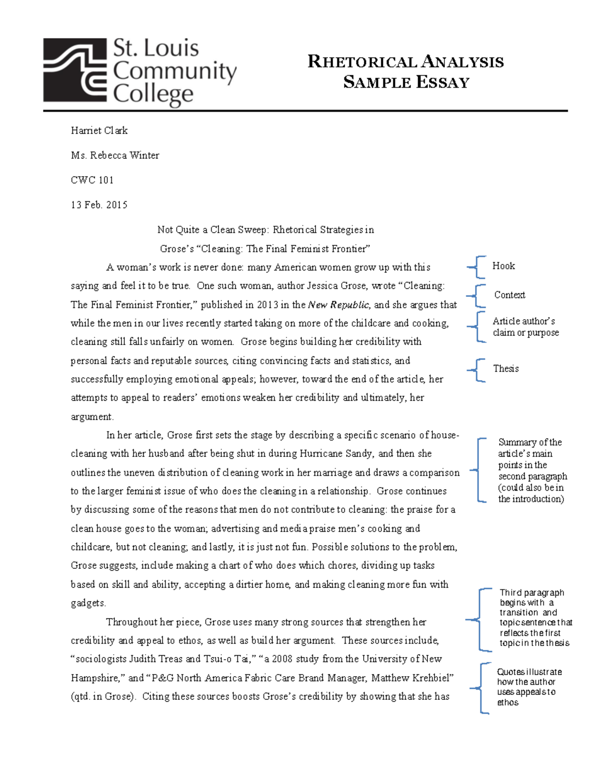 Rhetorical Analysis Sample Essay - RHETORICAL ANALYSIS SAMPLE ESSAY ...