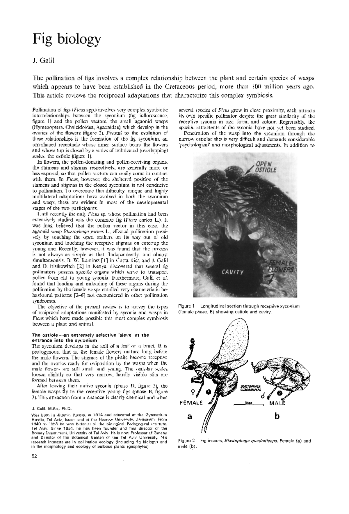 Galil 1977 fig wasp biology - Fig biology J. Galil The pollination of ...