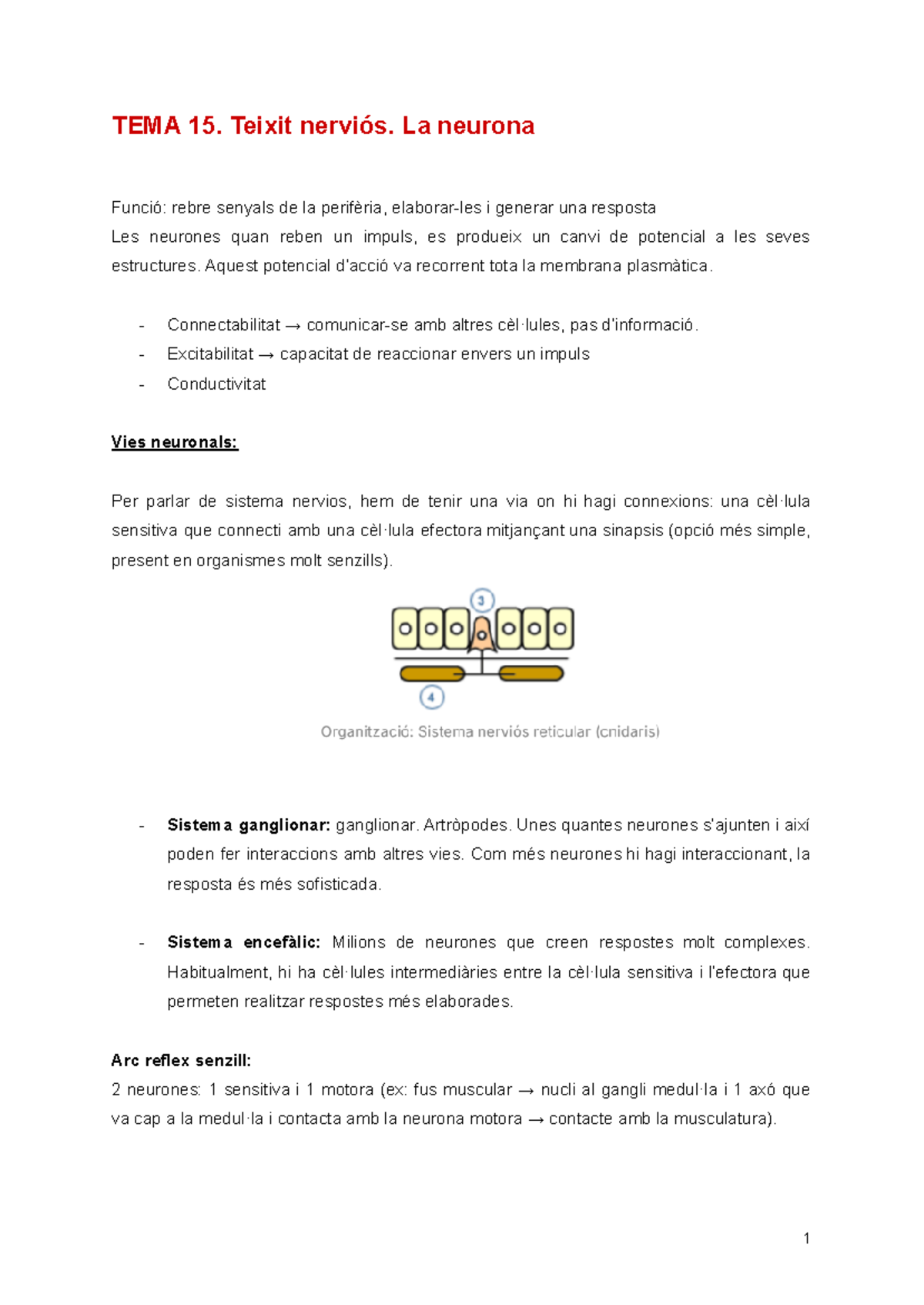 Teixit nerviós - TEMA 15. Teixit nerviós. La neurona Funció: rebre ...