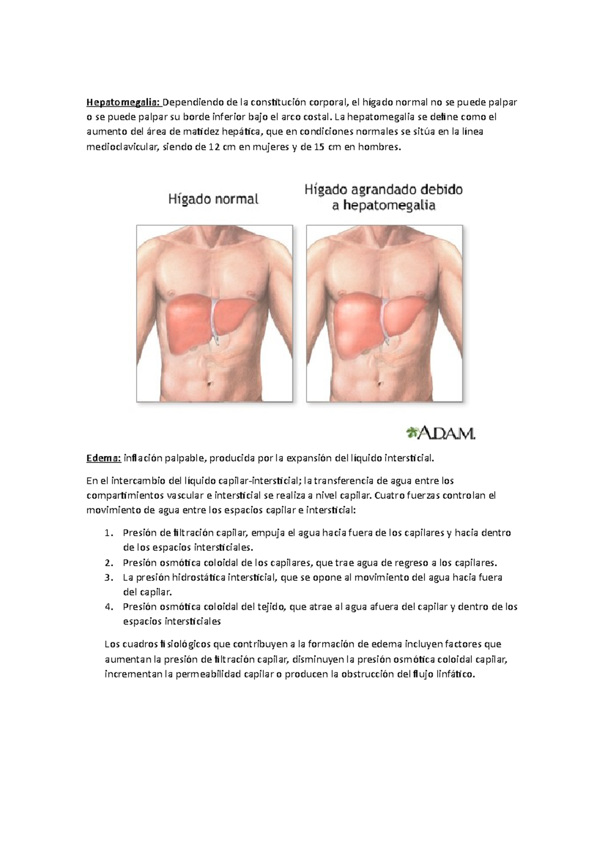 Hepatomegalia - de todo un poco - Hepatomegalia: Dependiendo de la ...