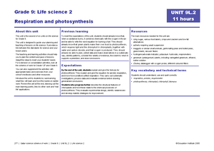 Physical Science Lesson Plan - Grade 12 - Lesson Plan: Formation and ...