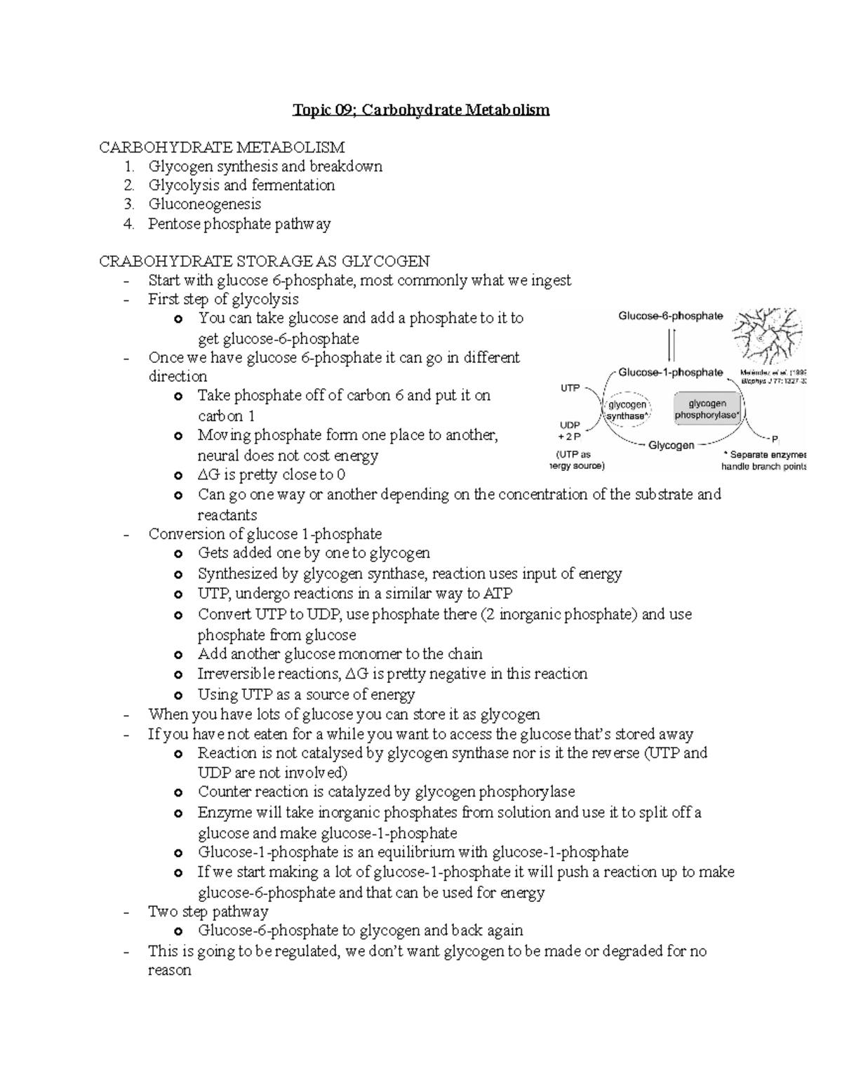 Lecture 9 - Carbohydrate Metabolism - Topic 09; Carbohydrate Metabolism ...