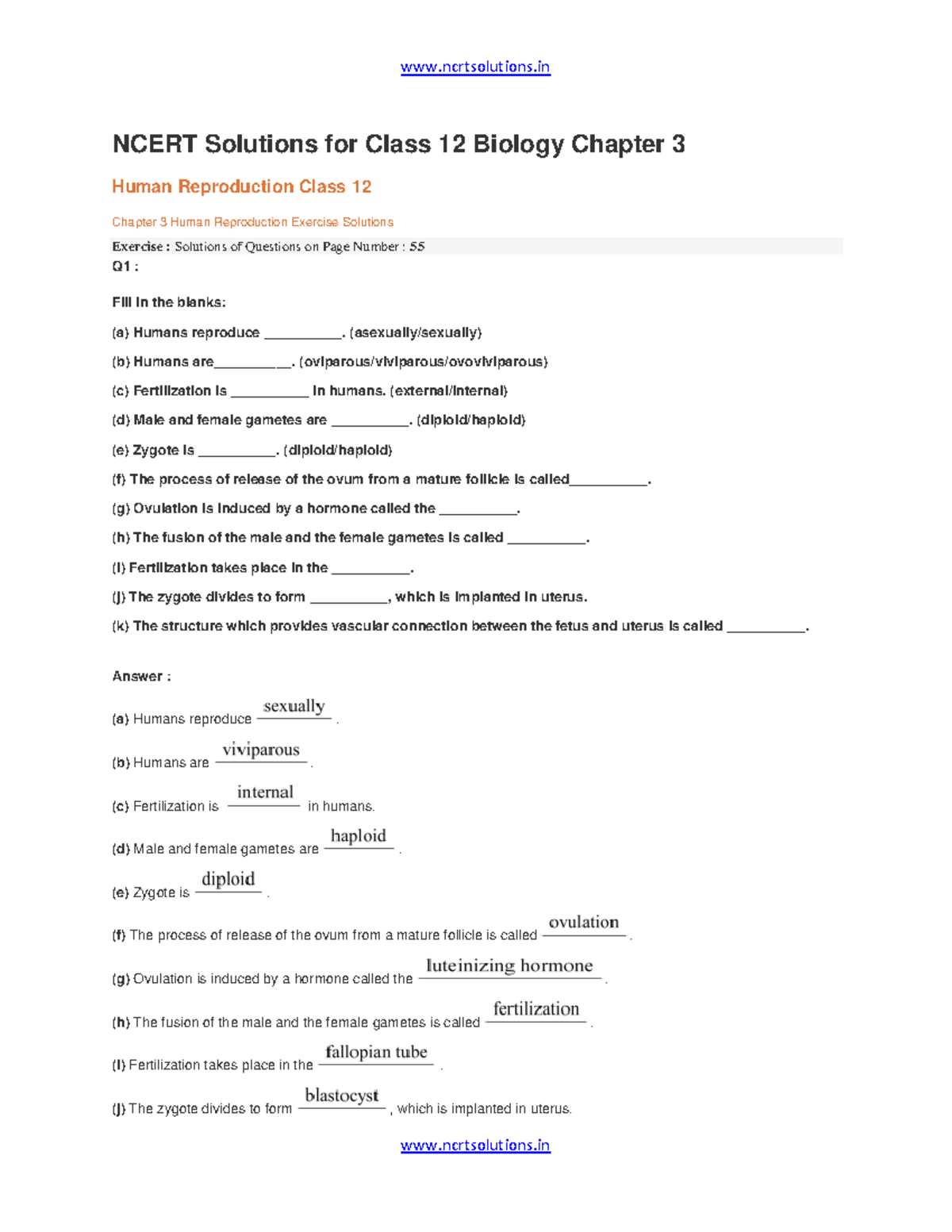 Chapter 3 human reproduction - NCERT Solutions for Class 12 Biology ...