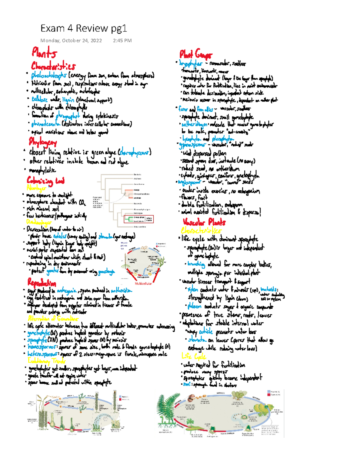 Pg1 - lecture notes for fungi and plants - BIOL 211 - Exam 4 Review pg ...