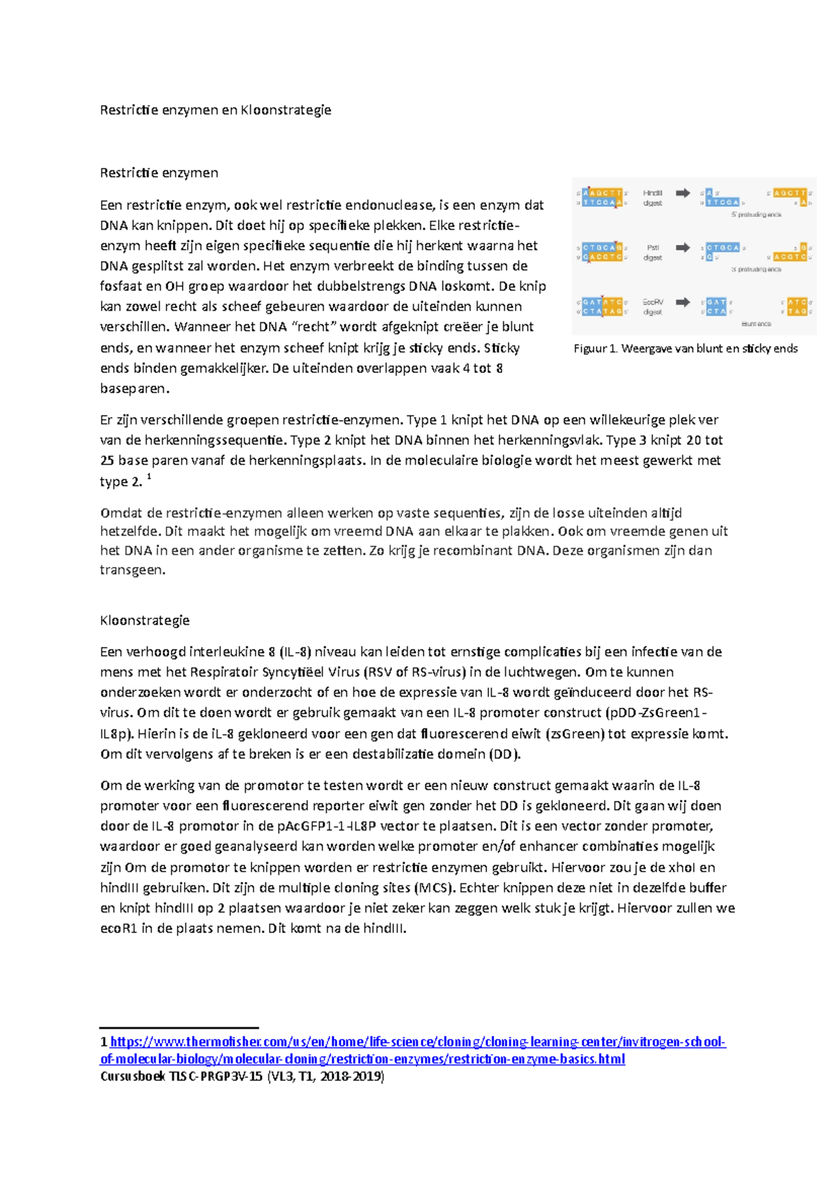 Restrictie enzymen en kloonstrategie - Restrictie enzymen en ...
