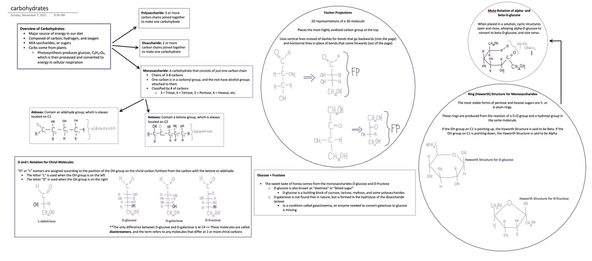 Carbohydrates.Life Science Chem - CHEM 6101 - StuDocu