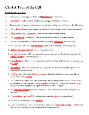 Ch. 04 KEY A Tour of the Cell 2016 - Ch. 4 A Tour of the Cell Key ...