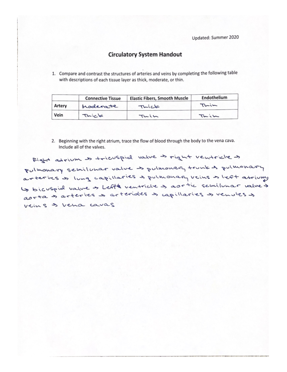 HW 6 Circulatory System Handout - BY123 - Studocu