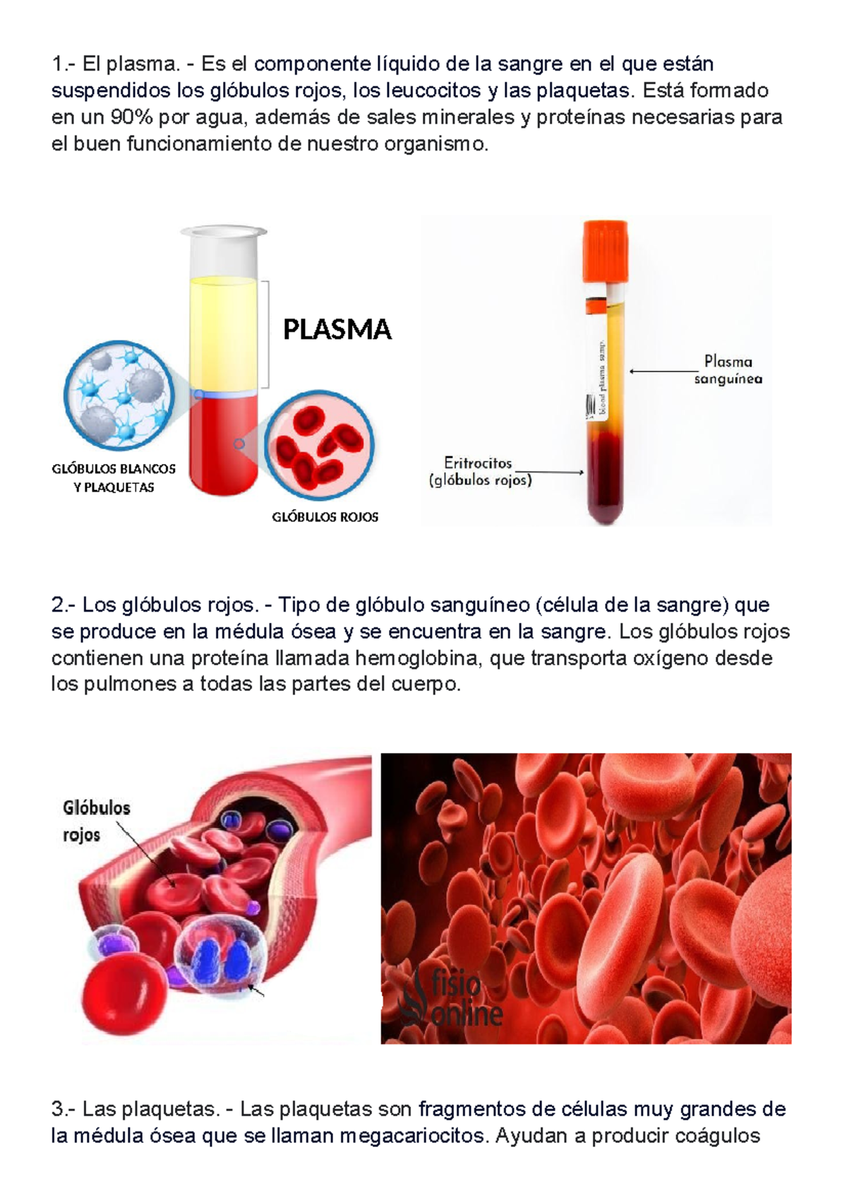 La sangre - 1.- El plasma. - Es el componente líquido de la sangre en ...