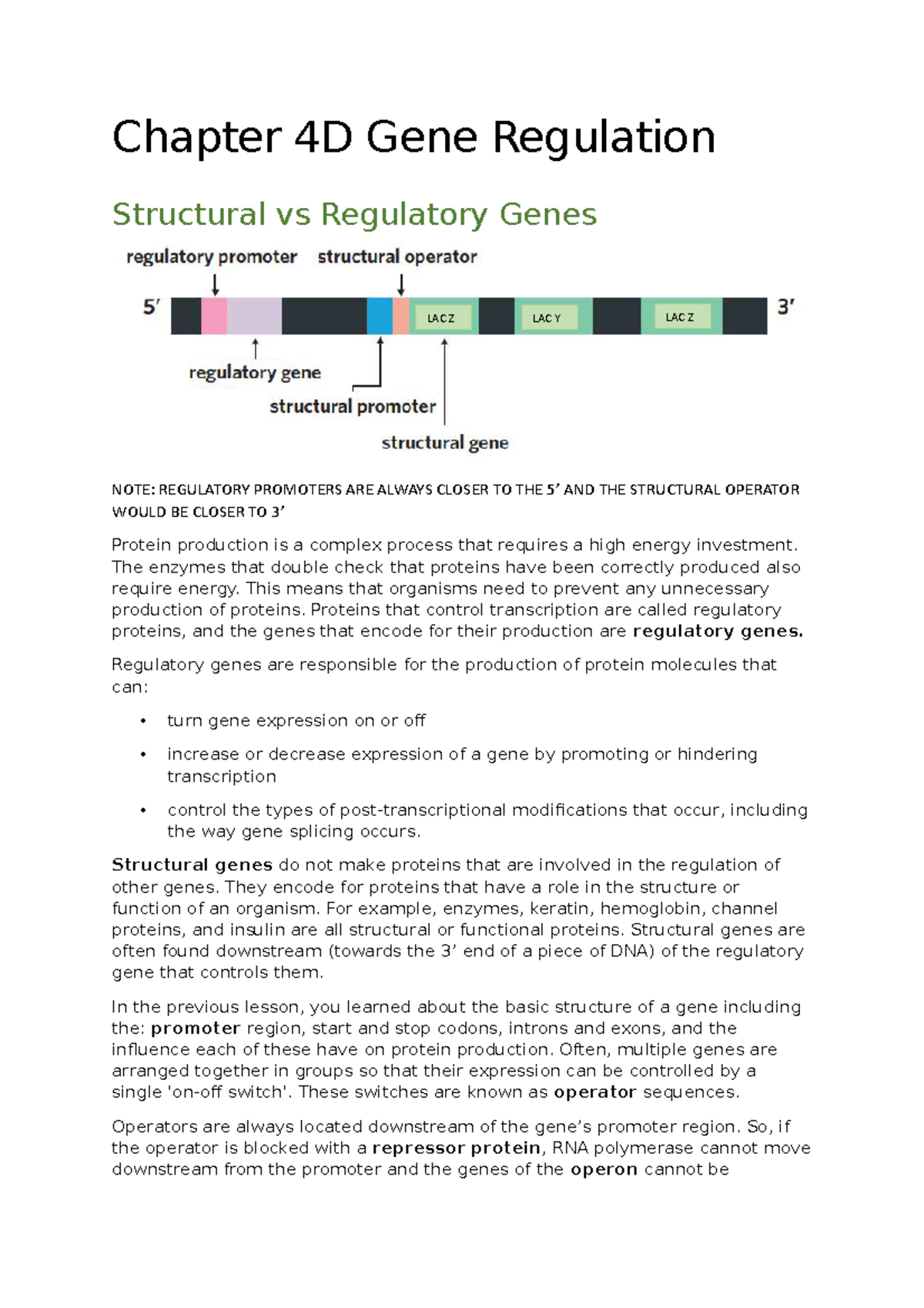 Chapter 4D Gene Regulation - Chapter 4D Gene Regulation Structural vs ...