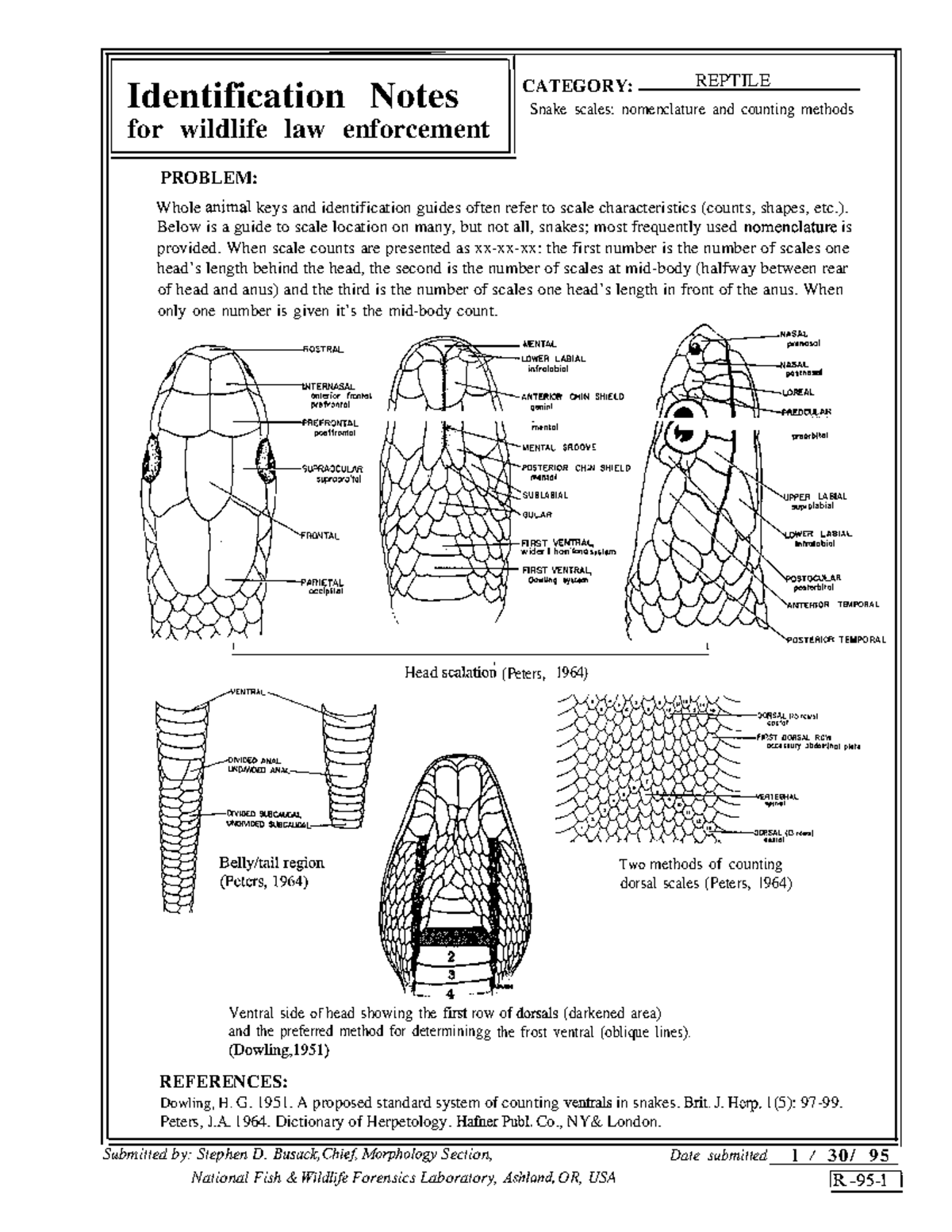 Đo rắn - tham khảo - II Identification Notes CATEGORY: REPTILE Snake ...