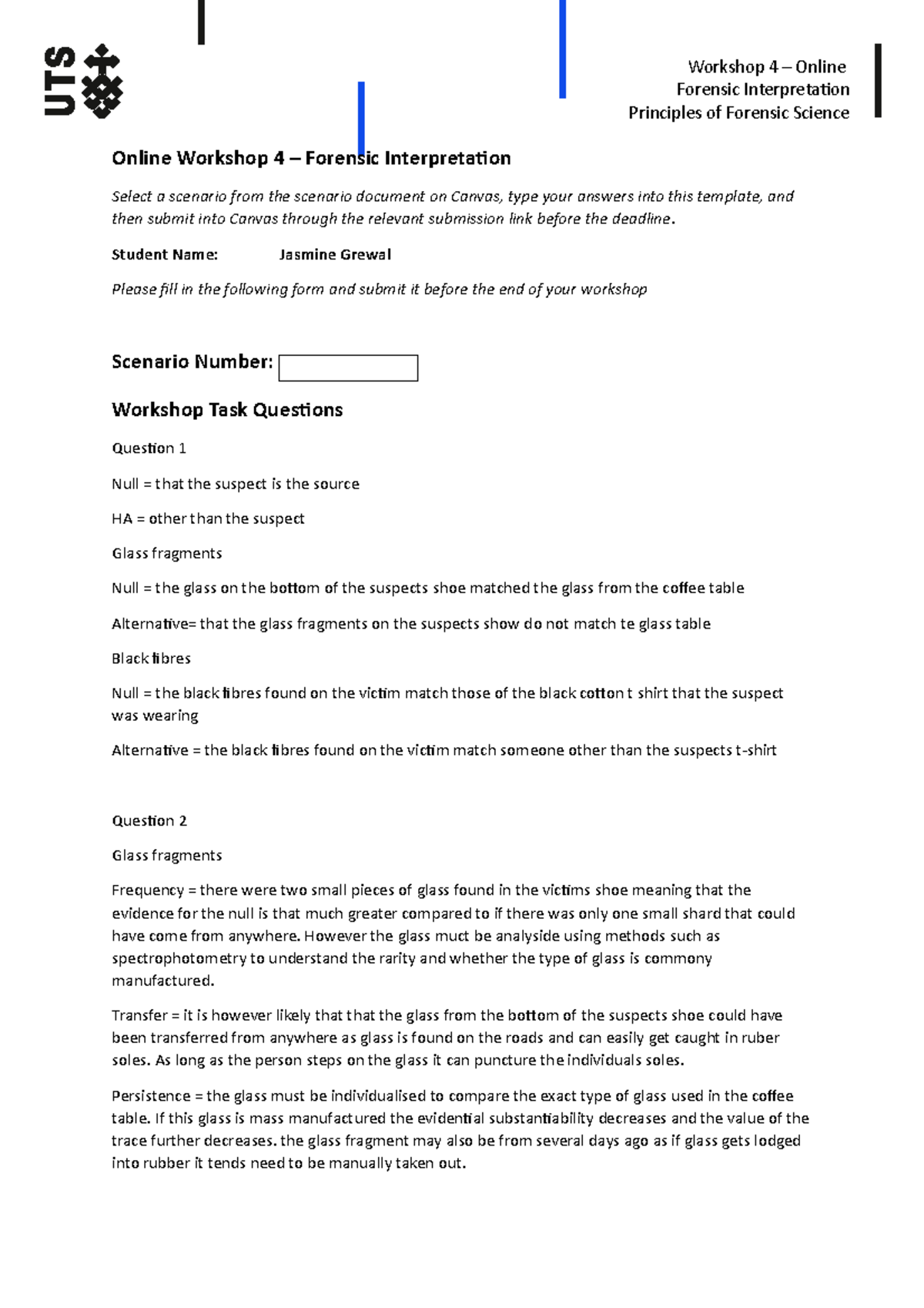 Wrkshop 3- week 3 workshop - Workshop 4 Online Forensic Interpretation ...