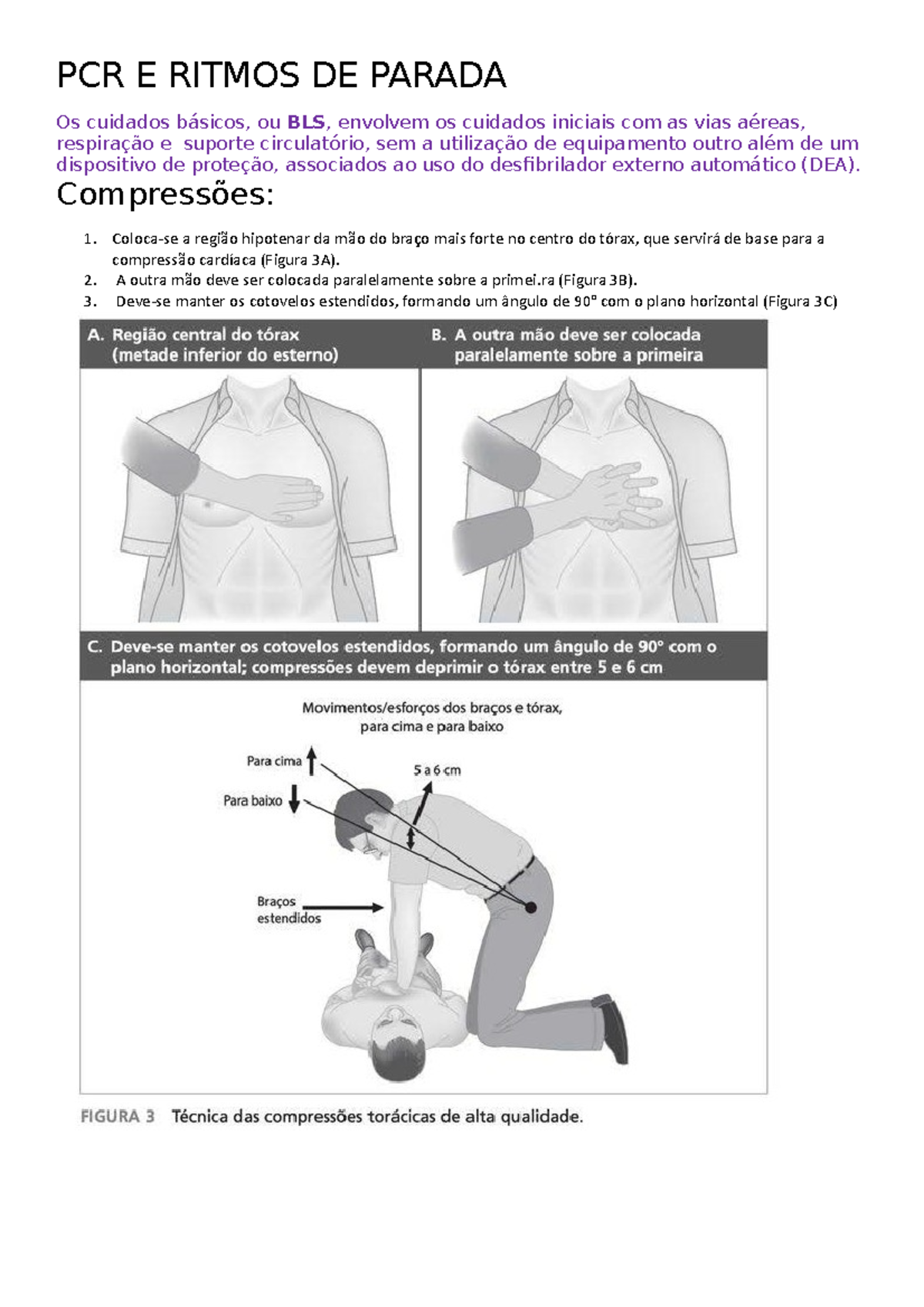 PCR e Ritmos de Parada (BLS;ACLS) - PCR E RITMOS DE PARADA Os cuidados ...