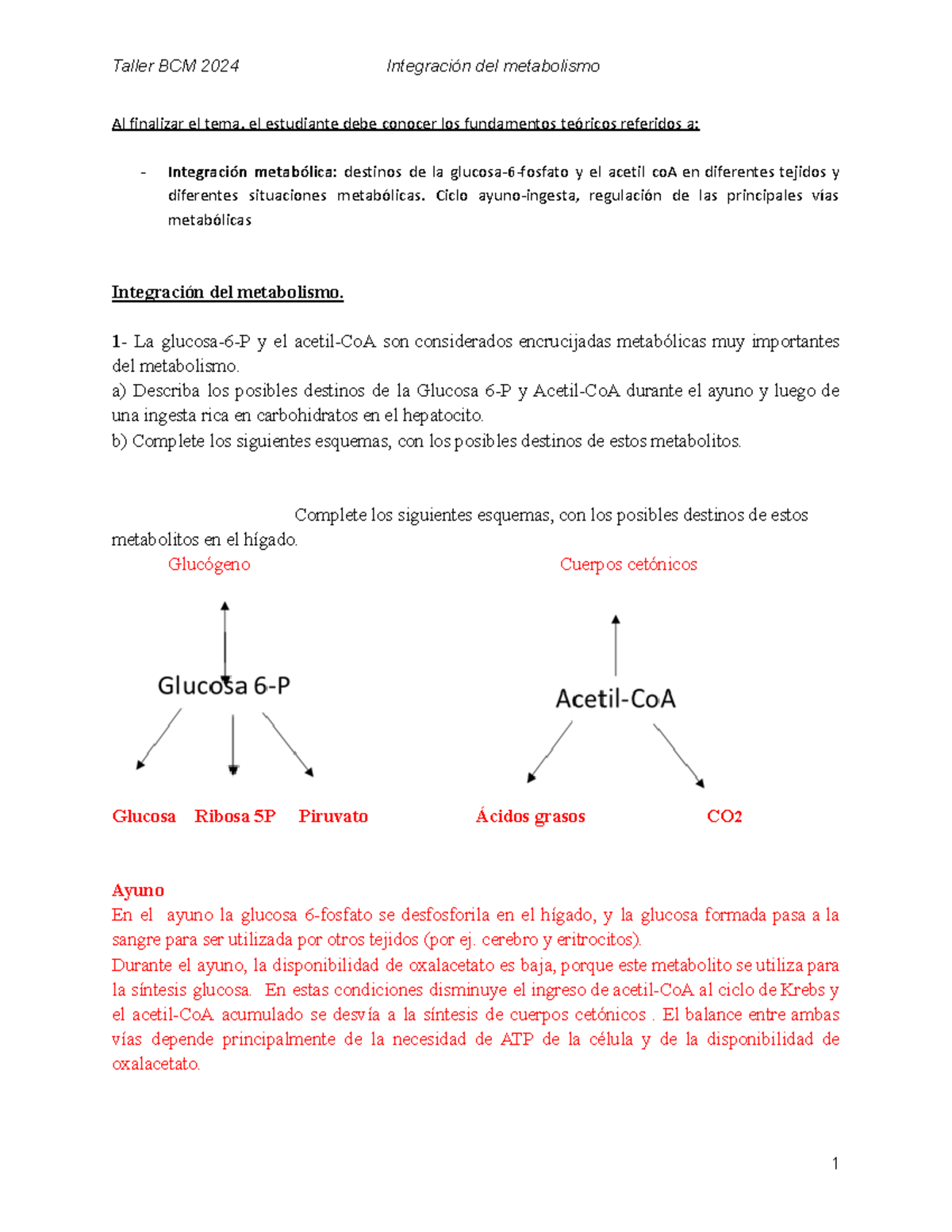 Resolucion Taller integración del metabolismo intermediario - Al finalizar el tema, el ...
