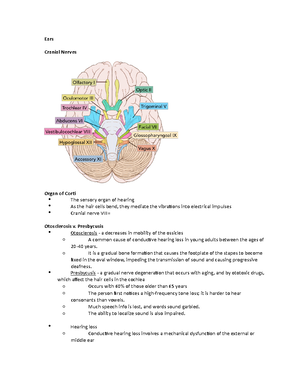 Health alt. Health History and Physical Assessment - Health History and ...