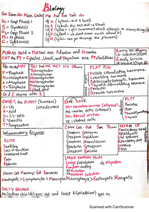 Bio 151 Stem Cells notes - Stem Cells Stem cells: unspecialized cells ...