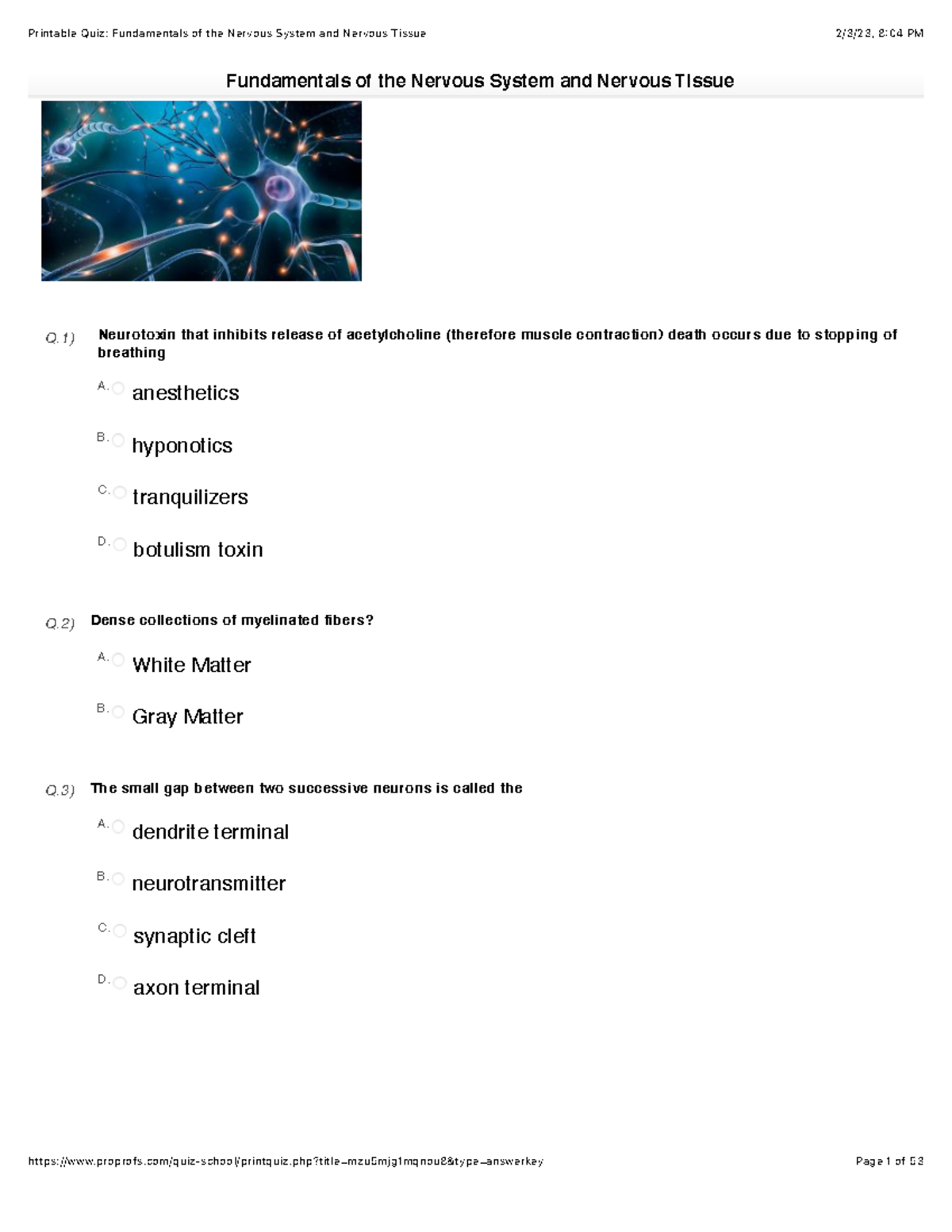 11Printable Quiz: Fundamentals of the Nervous System and Nervous Tissue ...