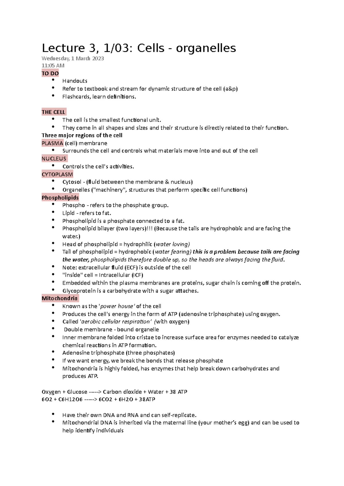 Lecture 3 204.101 cells - Lecture 3, 1/03: Cells - organelles Wednesday ...