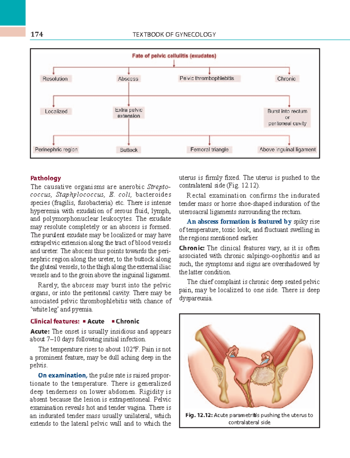 Dc duttas textbook of gynecology 22 - 174 TEXTBOOK OF GYNECOLOGY ...