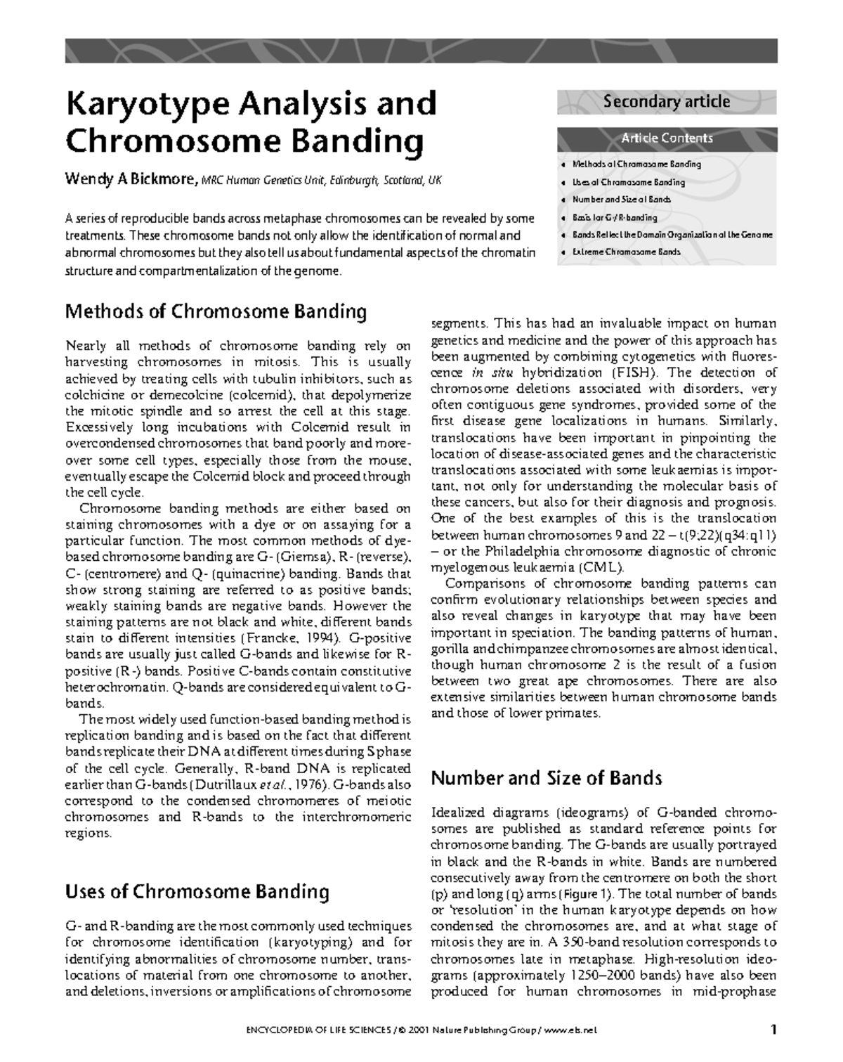 Bandmethods - Banding techniques - Karyotype Analysis and Chromosome ...