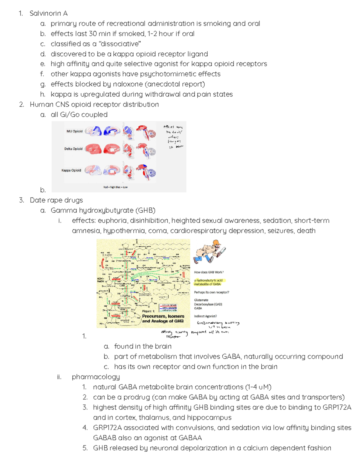 Neurosc C177 GHB Lecture Notes - Salvinorin A a. primary route of ...