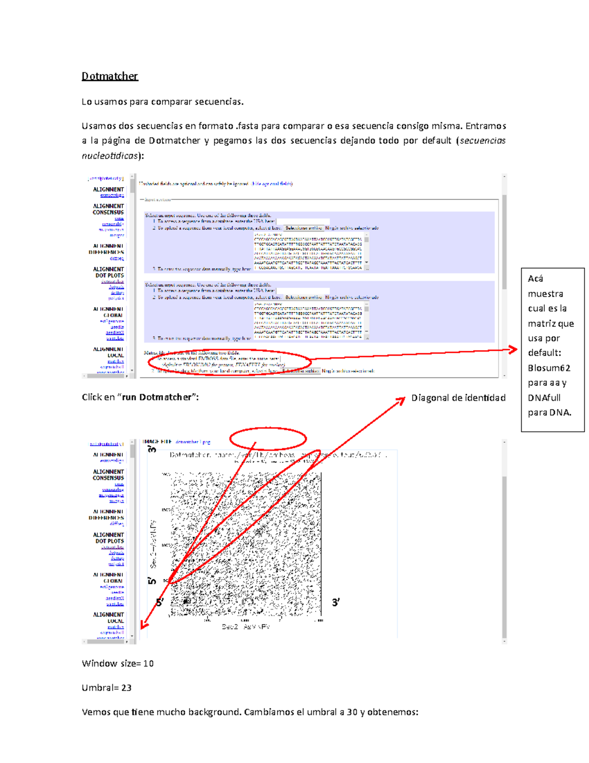 Alineamiento global (Dotplot) - Dotmatcher Lo usamos para comparar ...