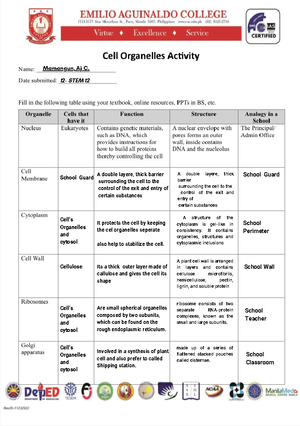 G7 AP EXAM - Exam - RUTHER E. ESCONDE SCHOOL OF MULTIPLE INTELLIGENCES ...