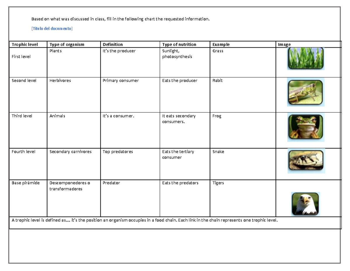 Activity 2. second period. Trophic levels copy - Based on what was ...