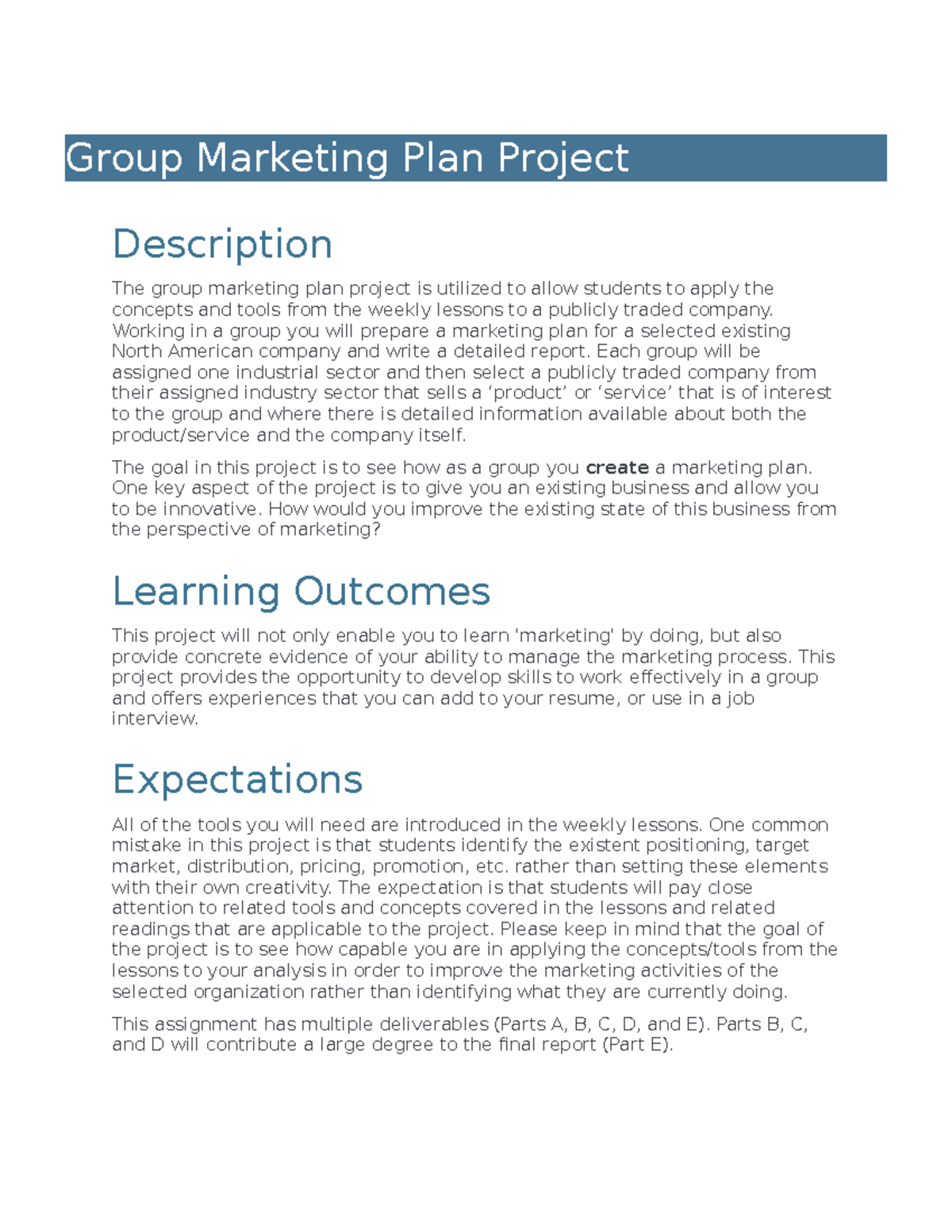 MRKT Group Marketing Plan Project Guide - Group Marketing Plan Project ...
