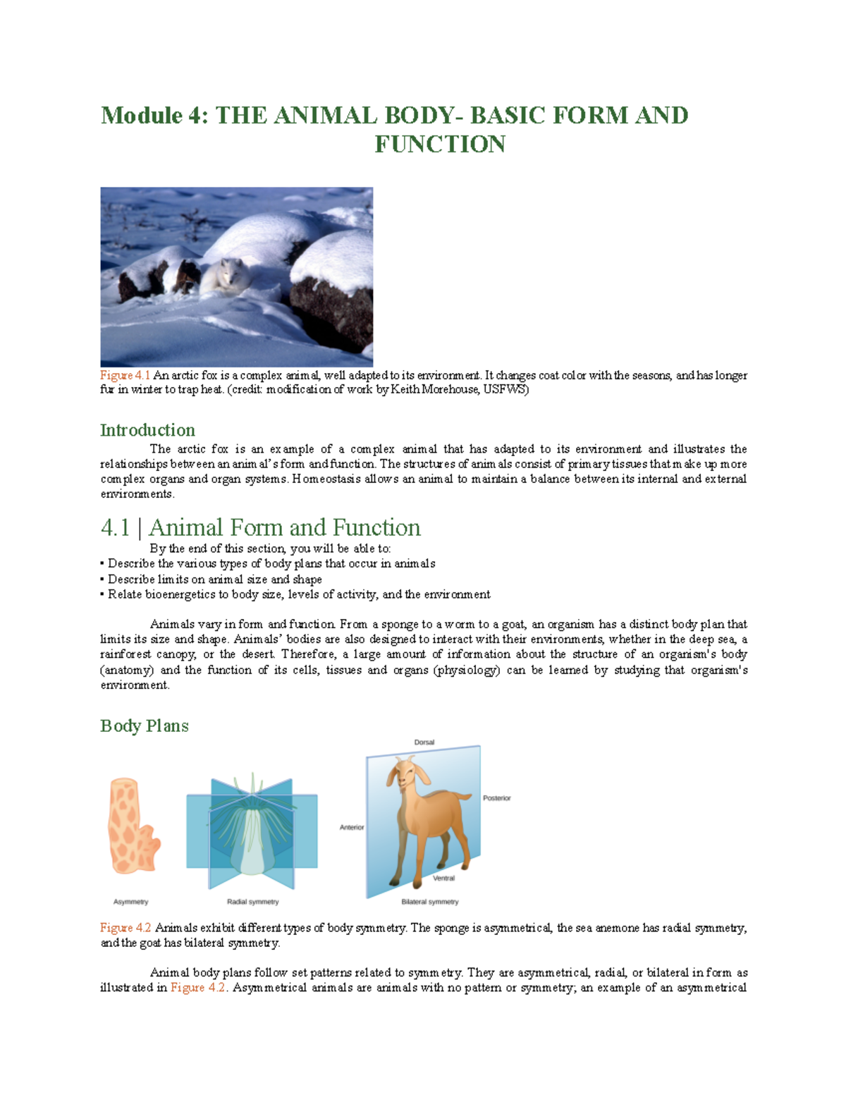 Module 4- The Animal Body (Basic Form and Function) - Module 4: THE ...