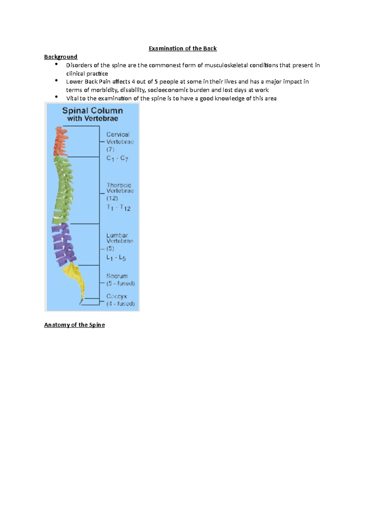 Examination of the Back - Examination of the Back Background Disorders ...