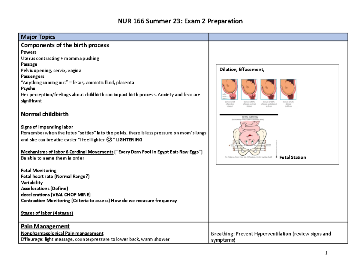 166 F23 Exam 2 Study Guide - Major Topics Components of the birth ...